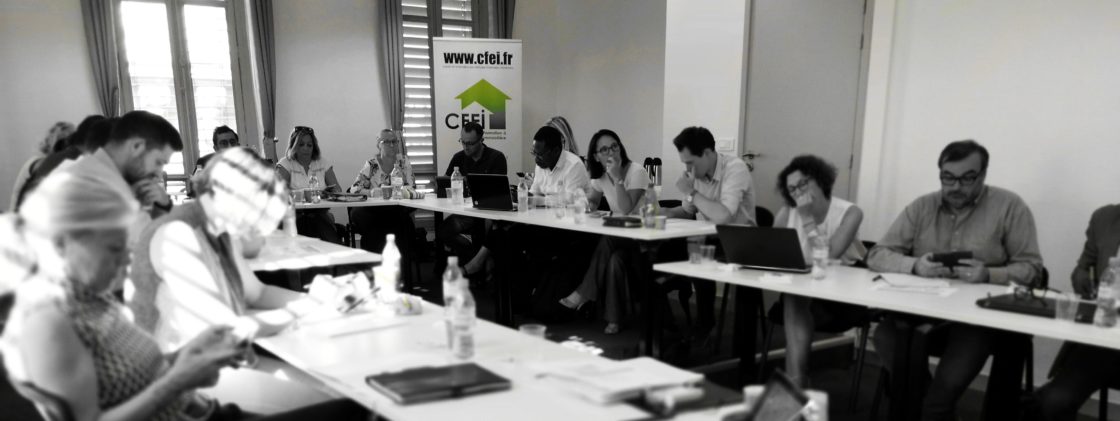 Découvrir le CFEI | Le CFEI