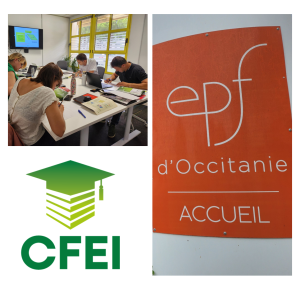 Session de formation en intra-entreprise auprès de l’EPF Occitanie | Le ...